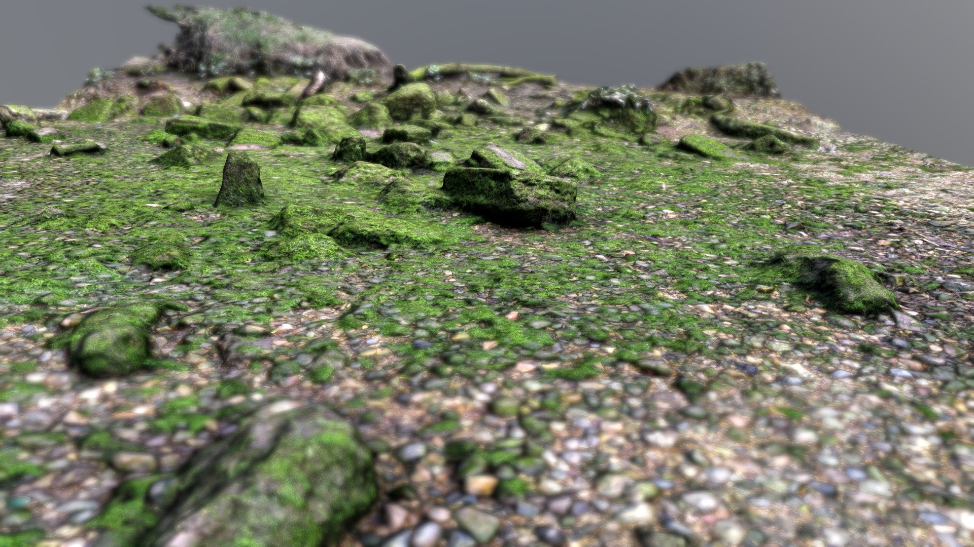 Slime seaweed covered rocks riverbank - Buy Royalty Free 3D model by ...