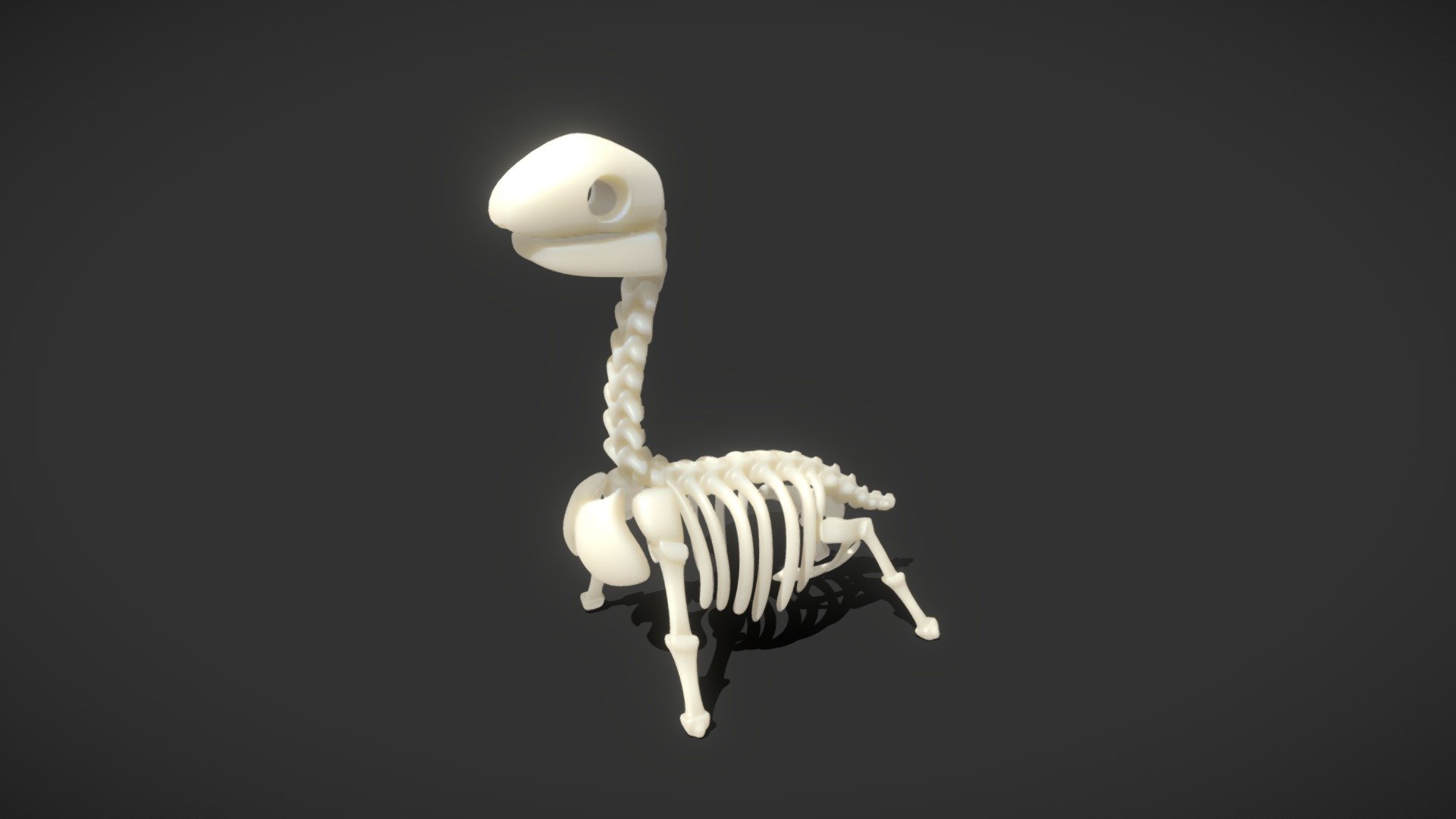 Nessie Skeleton Apex - Download Free 3D model by Dylan (@DylanSpin ...