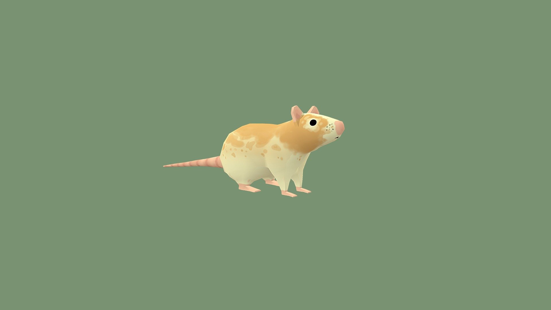 rat - Download Free 3D model by Kaspian.Seppanen [f8f1634] - Sketchfab