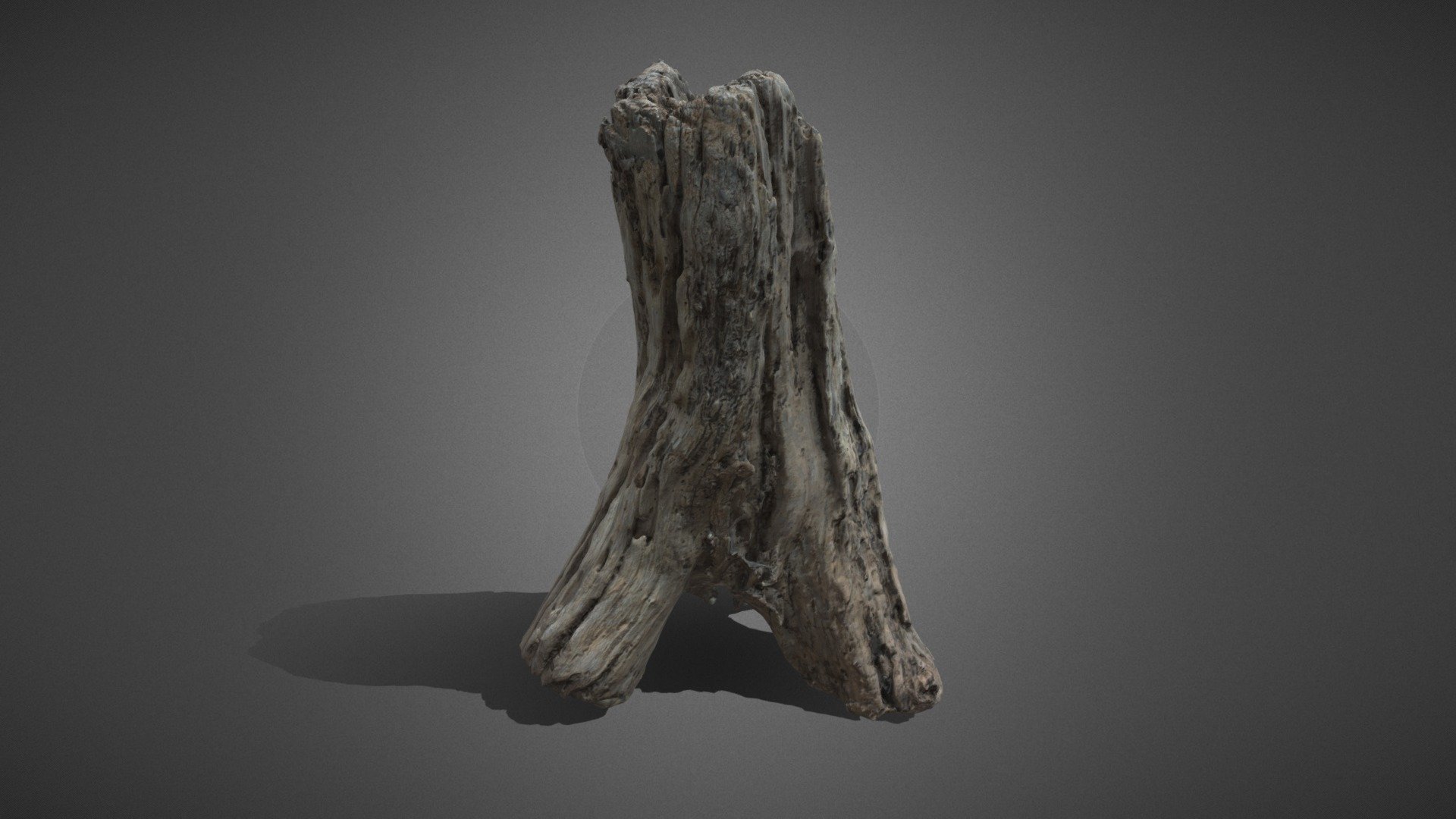 Dead trunk - 3D model by pixdichito [f8f53f2] - Sketchfab