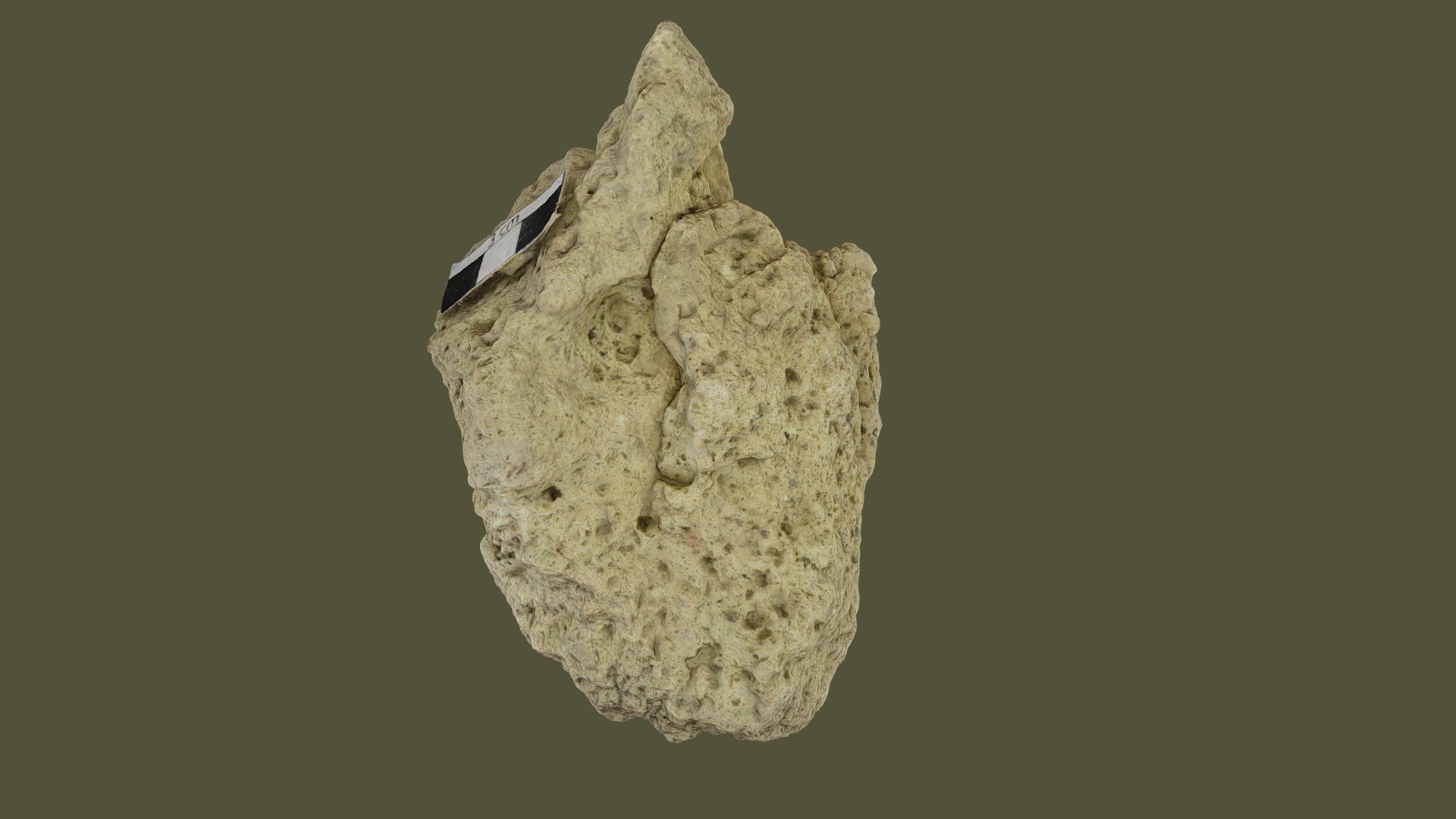 Calcarenite, Spain - Download Free 3D model by Sara Carena ...
