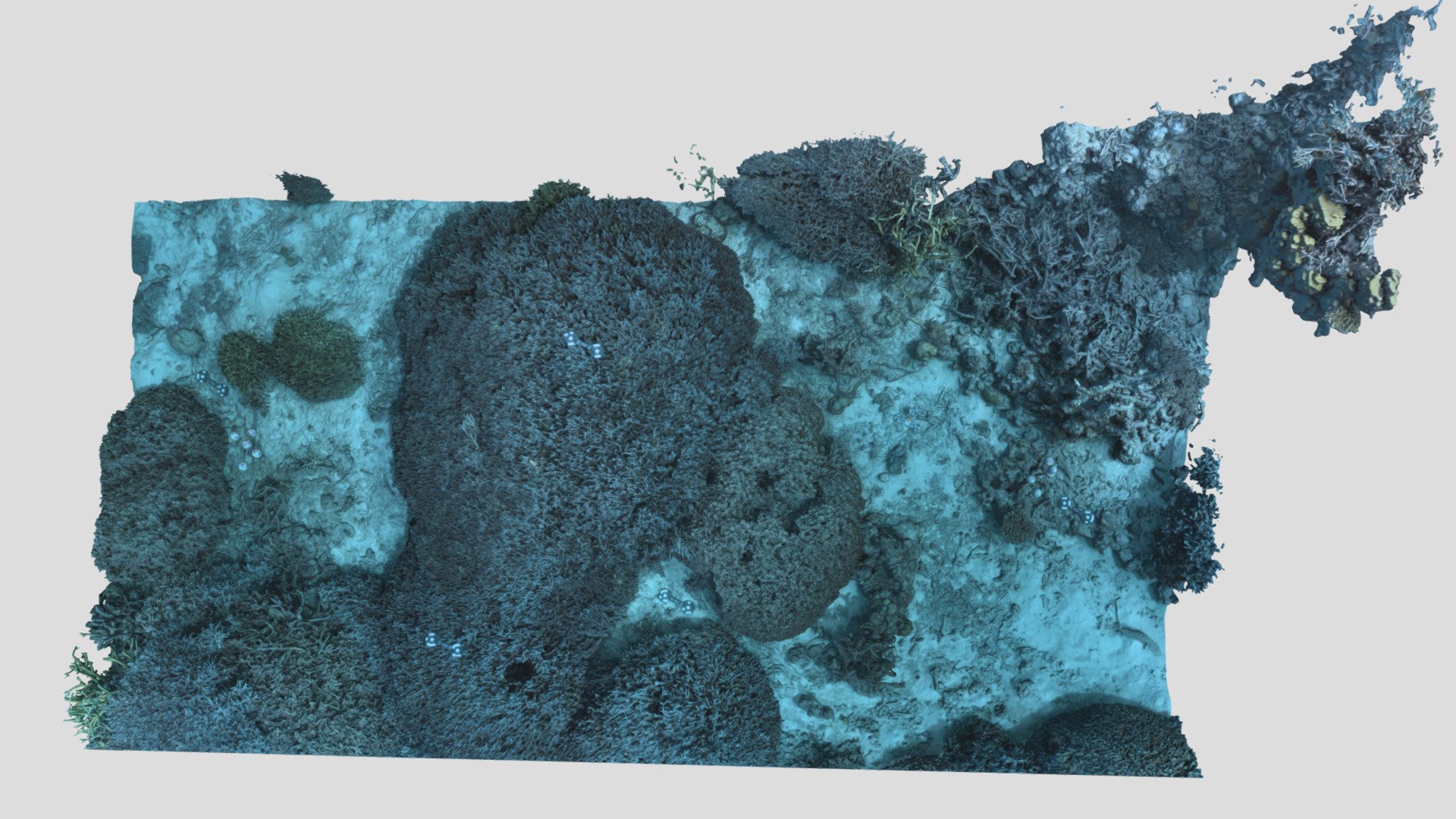 Davies_LA2S_P2_202301 - 3D model by EcoRRAP (@AIMSEcoRRAP) [f905baa ...