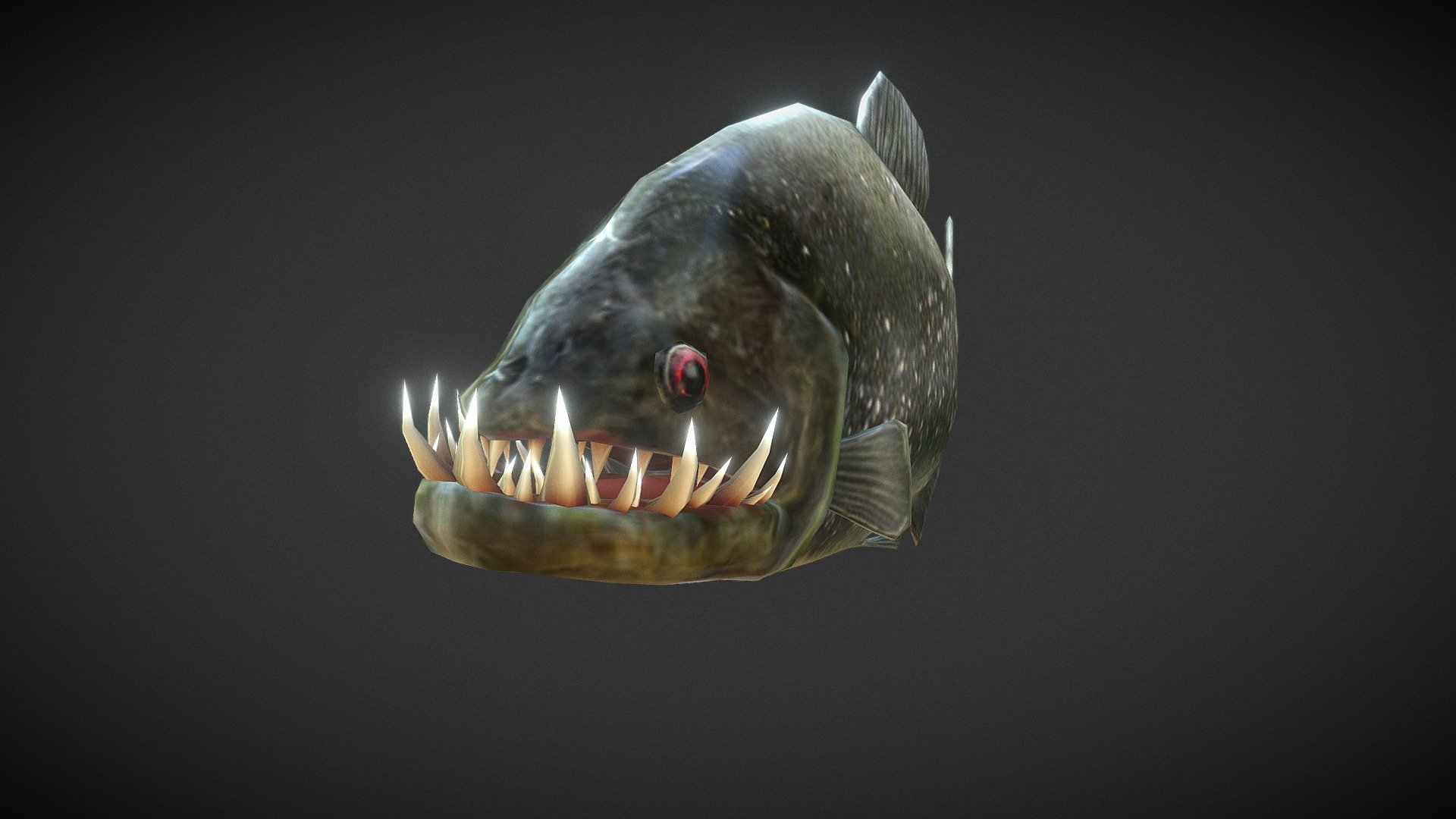 Black Piranha - 3D model by YOURS (@double2) [f906140] - Sketchfab