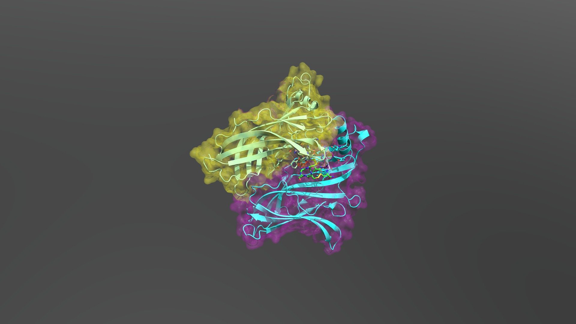α-conotoxin ImI in complex with Ac-AChBP - 3D model by jamespfk ...