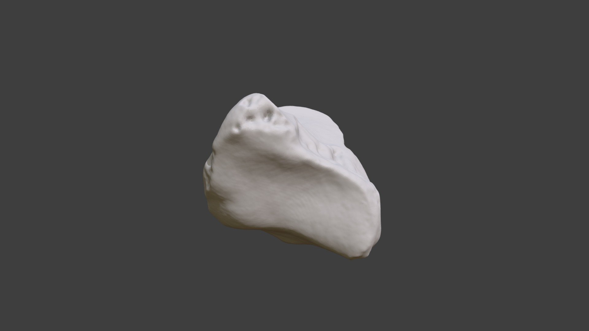 Left Capitate - 3D model by ajlieurance [f926890] - Sketchfab