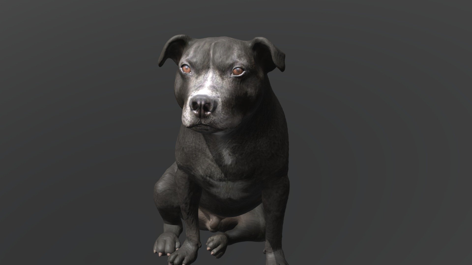 1811006- Jet- Staffie - 3D model by Arty Lobster - Pet Sculptures Made ...