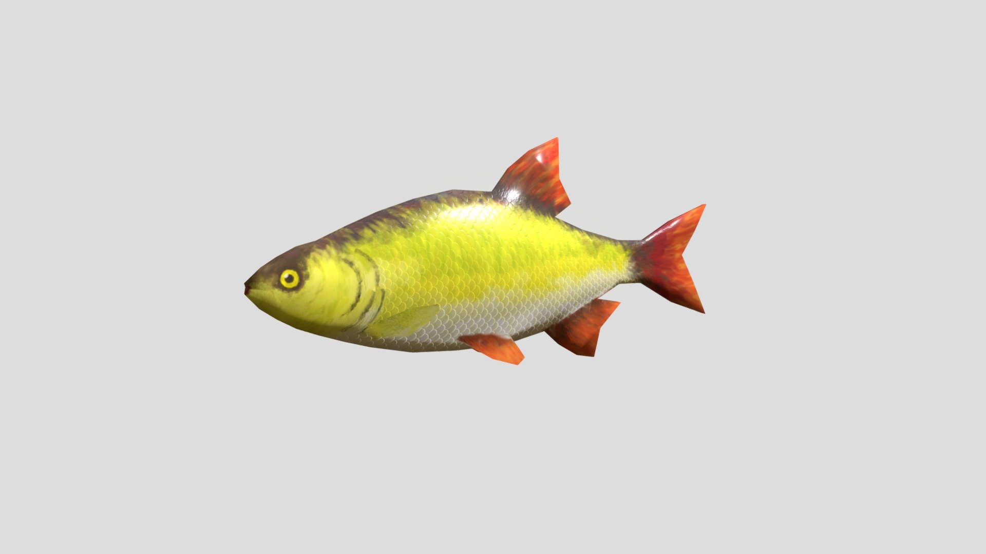 Common Roach - Download Free 3D model by robert.meier.art [f92e74e ...