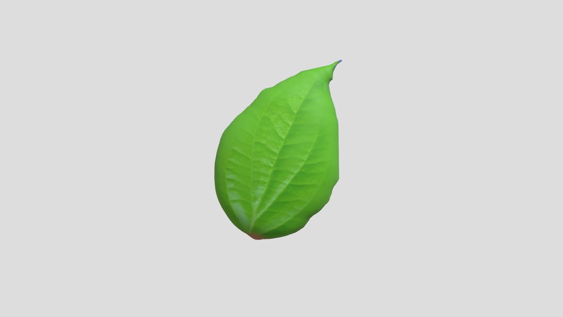 daun - 3D model by ijalwiranto76 [f93017a] - Sketchfab