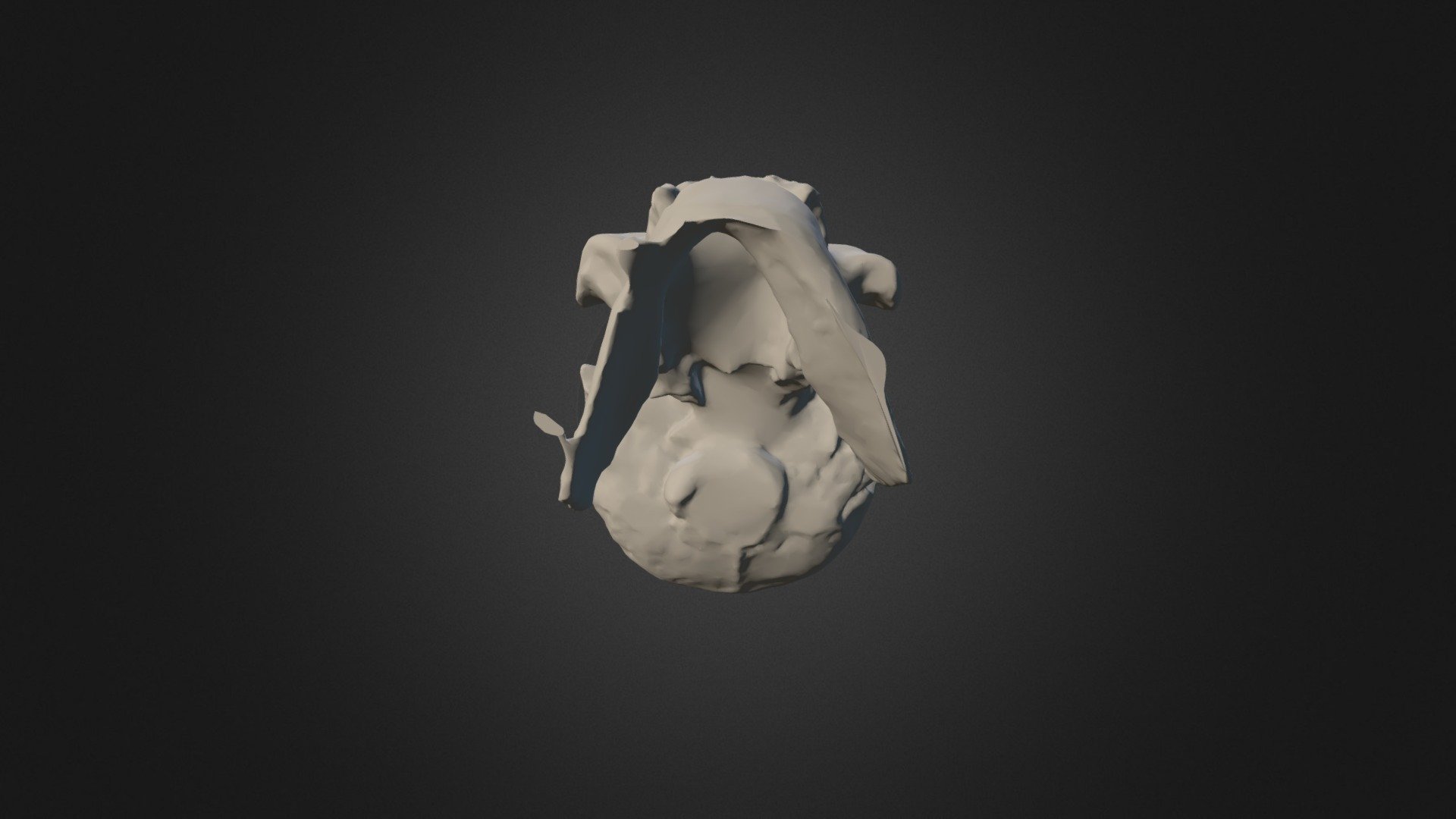 Homo georgicus - Download Free 3D model by geronimo0232 (@Human_Lineage ...
