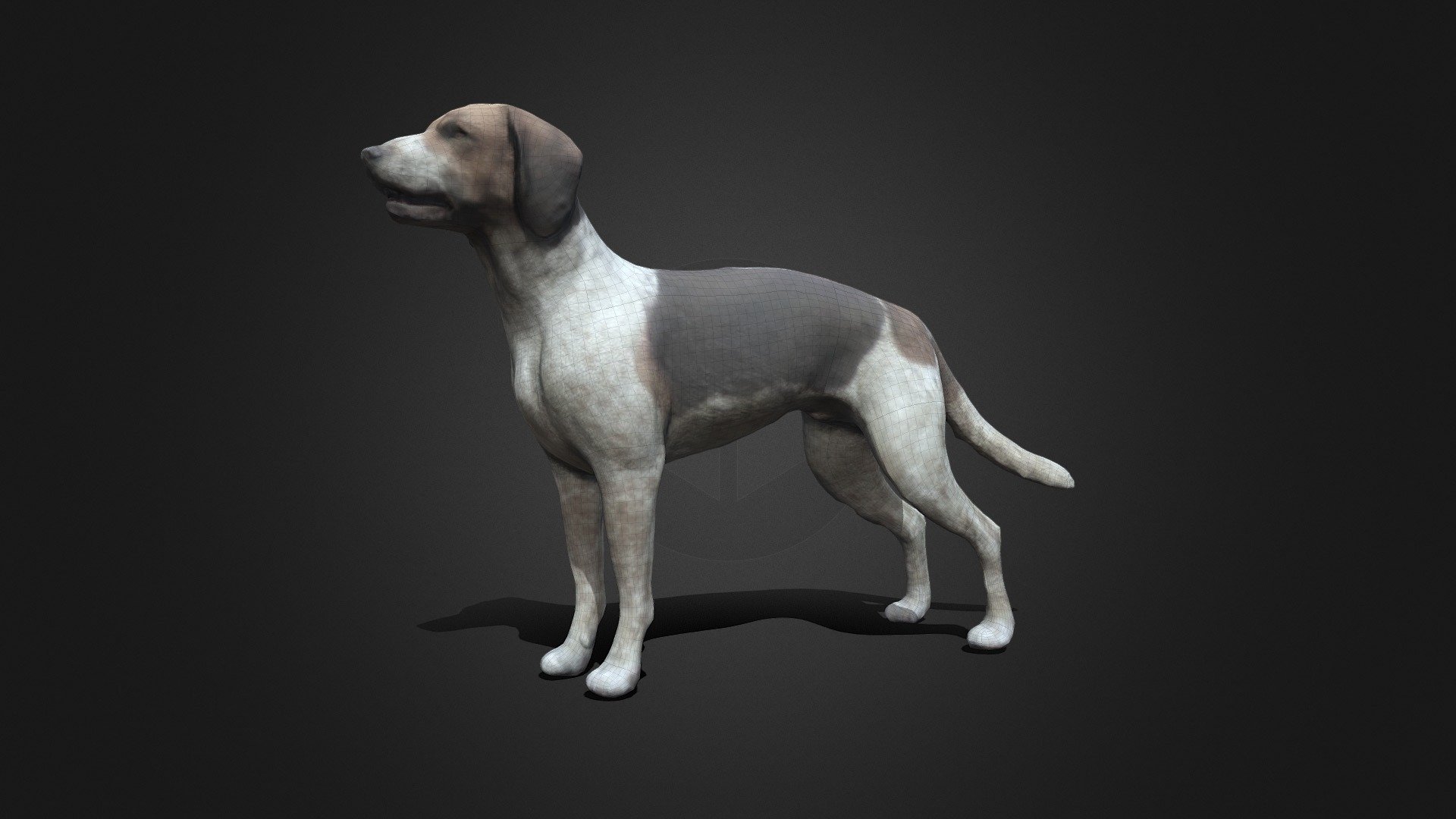 Dog 3 - 3D model by alitural [f939db5] - Sketchfab