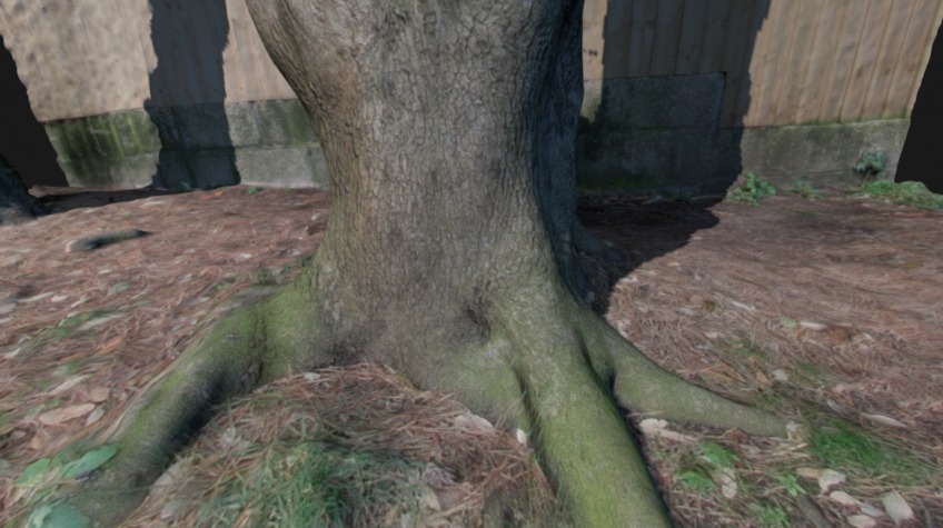 Tree Bark - 3D model by 3dcapture.co.uk [f944be7] - Sketchfab