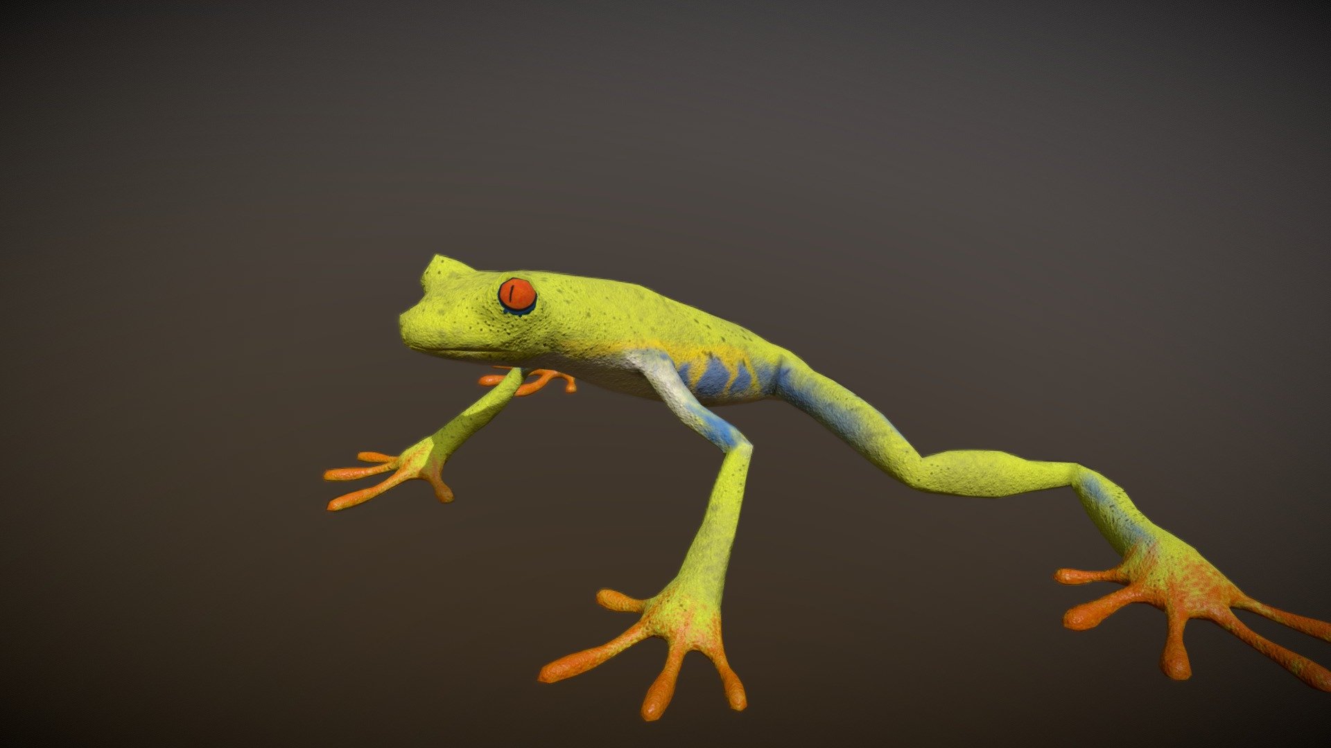 Tree Frog - 3D model by jparker49 [f946036] - Sketchfab