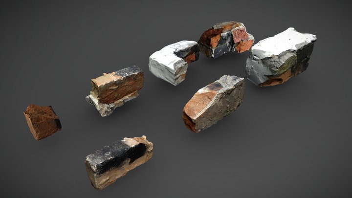 Ecology 3D models - Sketchfab