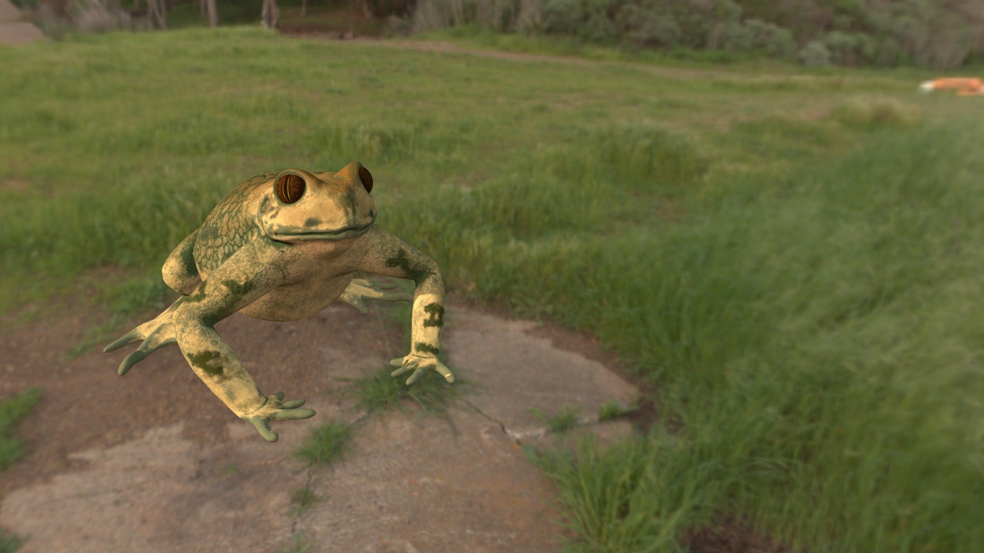Frog Low Poly - 3D model by gupeve1994 [f947ee7] - Sketchfab