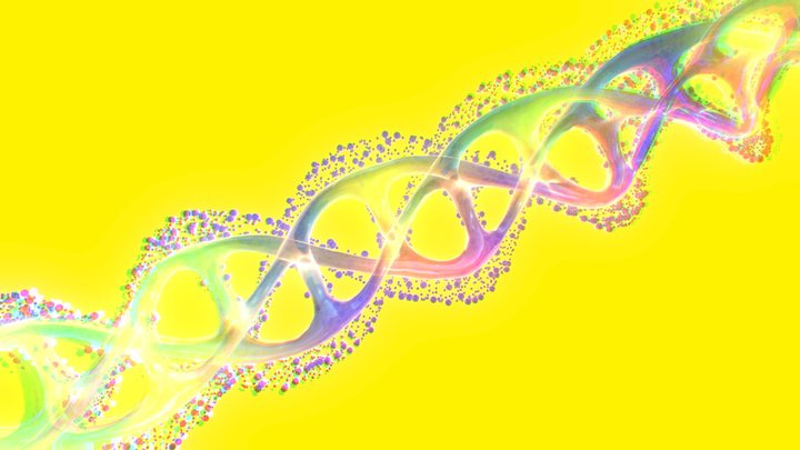 Dna 3D models - Sketchfab