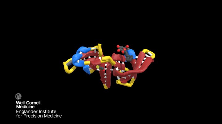 Proteinstructure 3D models - Sketchfab
