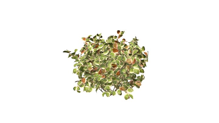 Monet 3D models - Sketchfab
