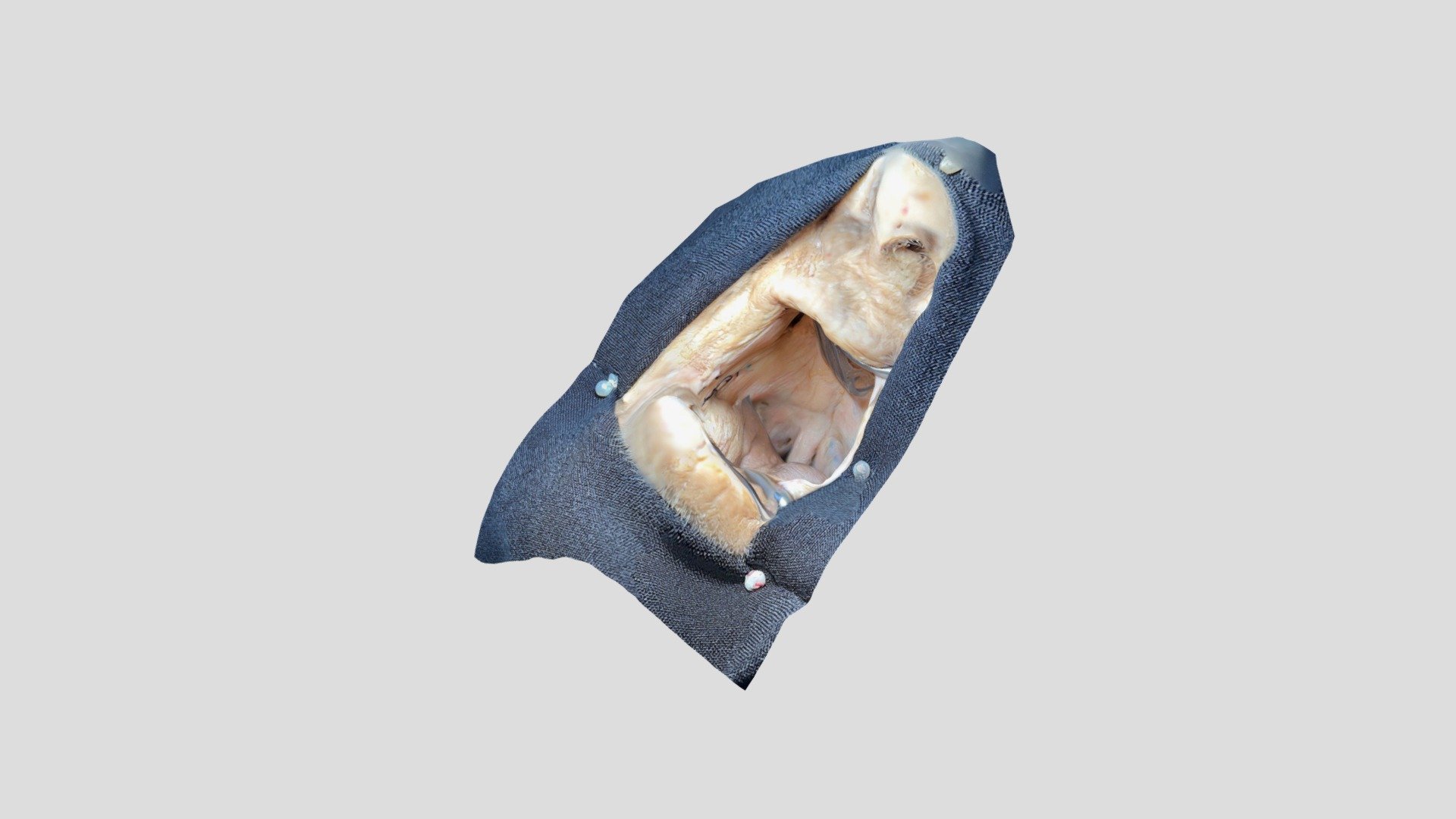Transoral Approach First Scan - Uvula - 3D model by Istanbul ...