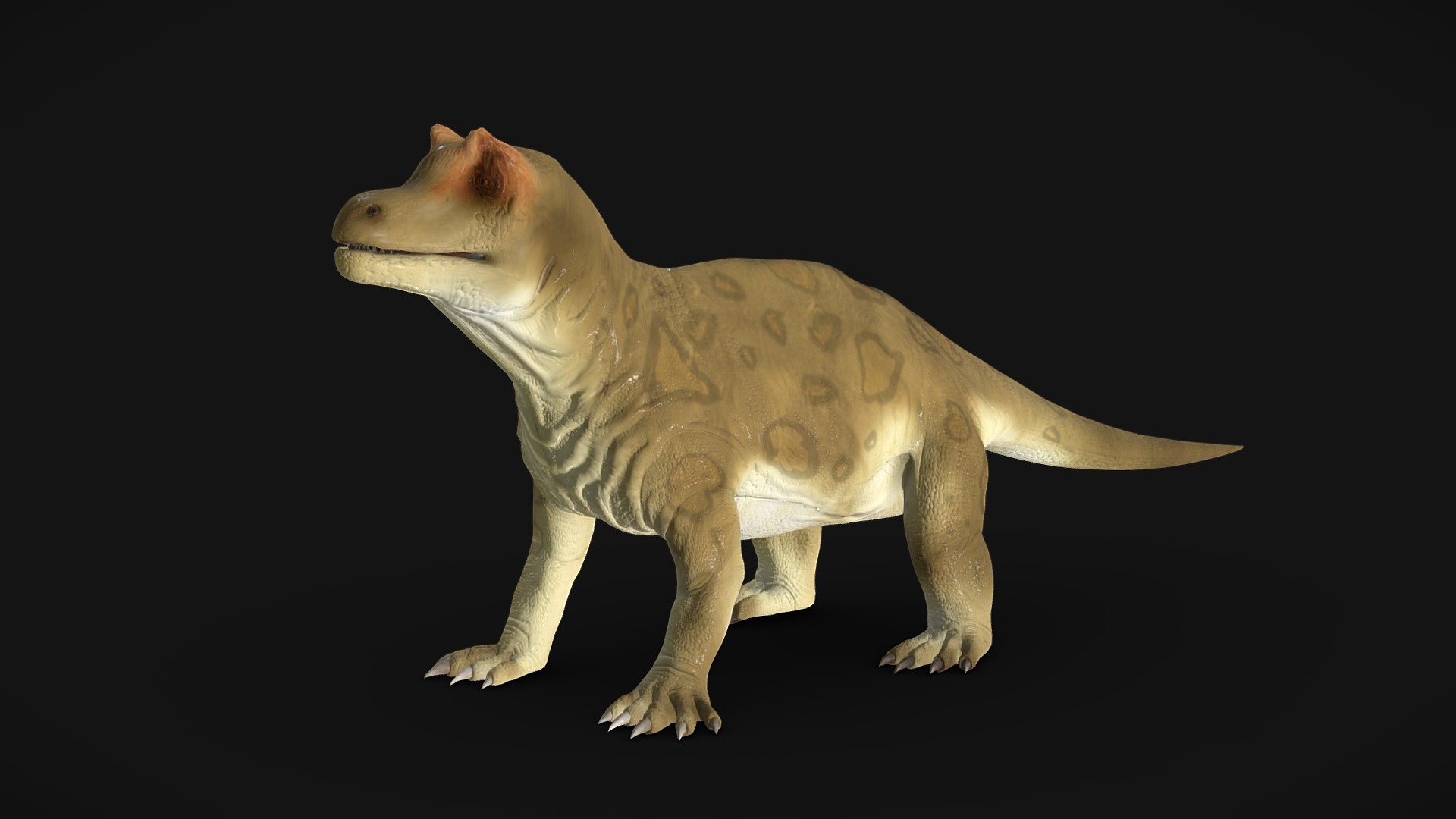 Anteosaurus - Rigged - Buy Royalty Free 3D model by Iofry [f951e68 ...