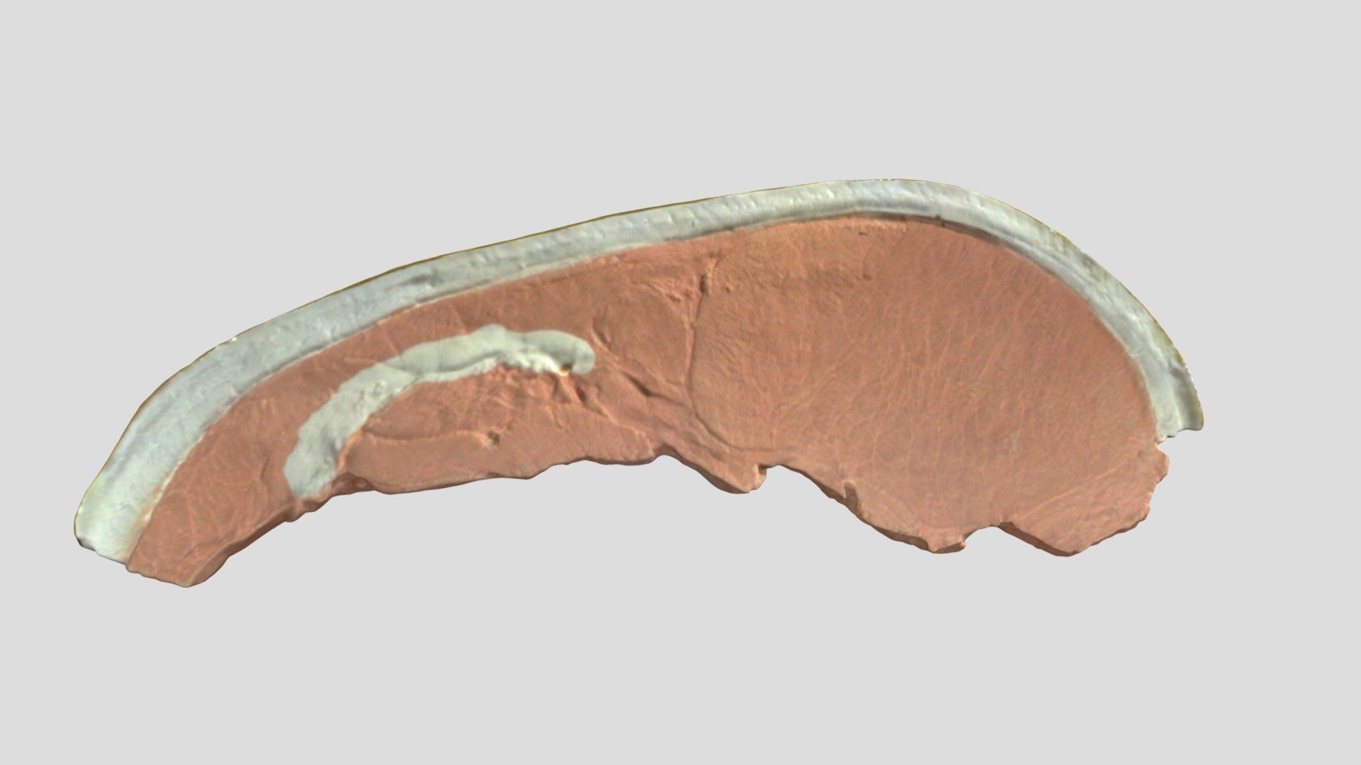 Piece of Bacon - 3D model by Aberdeen City Libraries ...