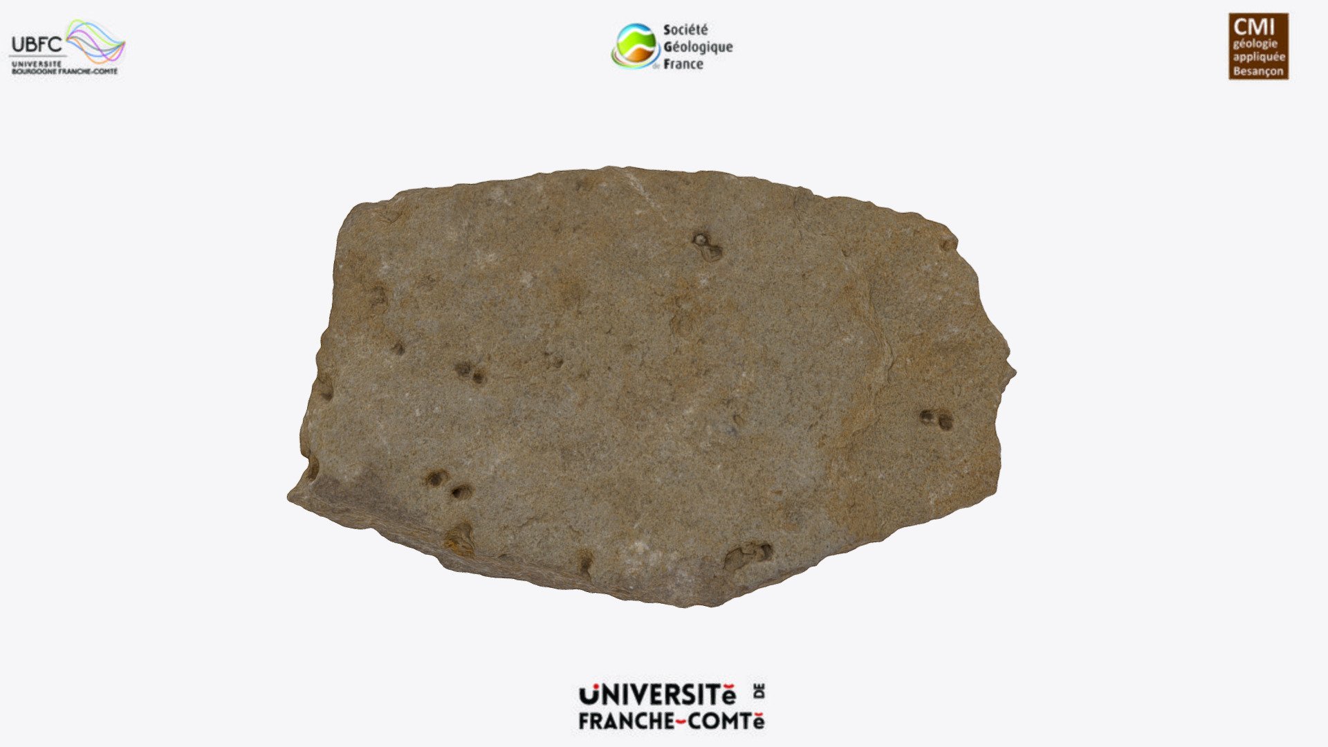 Ichnofossile - Diplocraterion - Download Free 3D model by Société ...