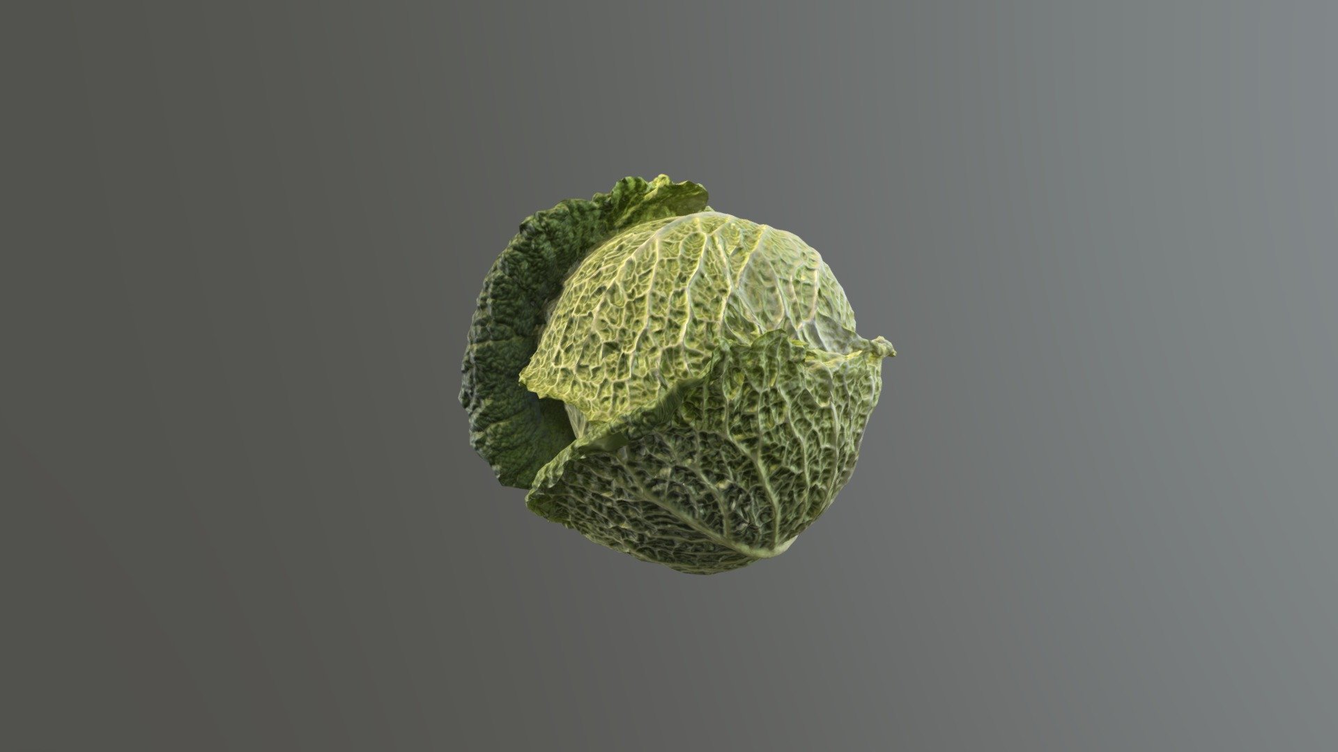Savoy Cabbage - 3D model by RV_MH [f95e88c] - Sketchfab