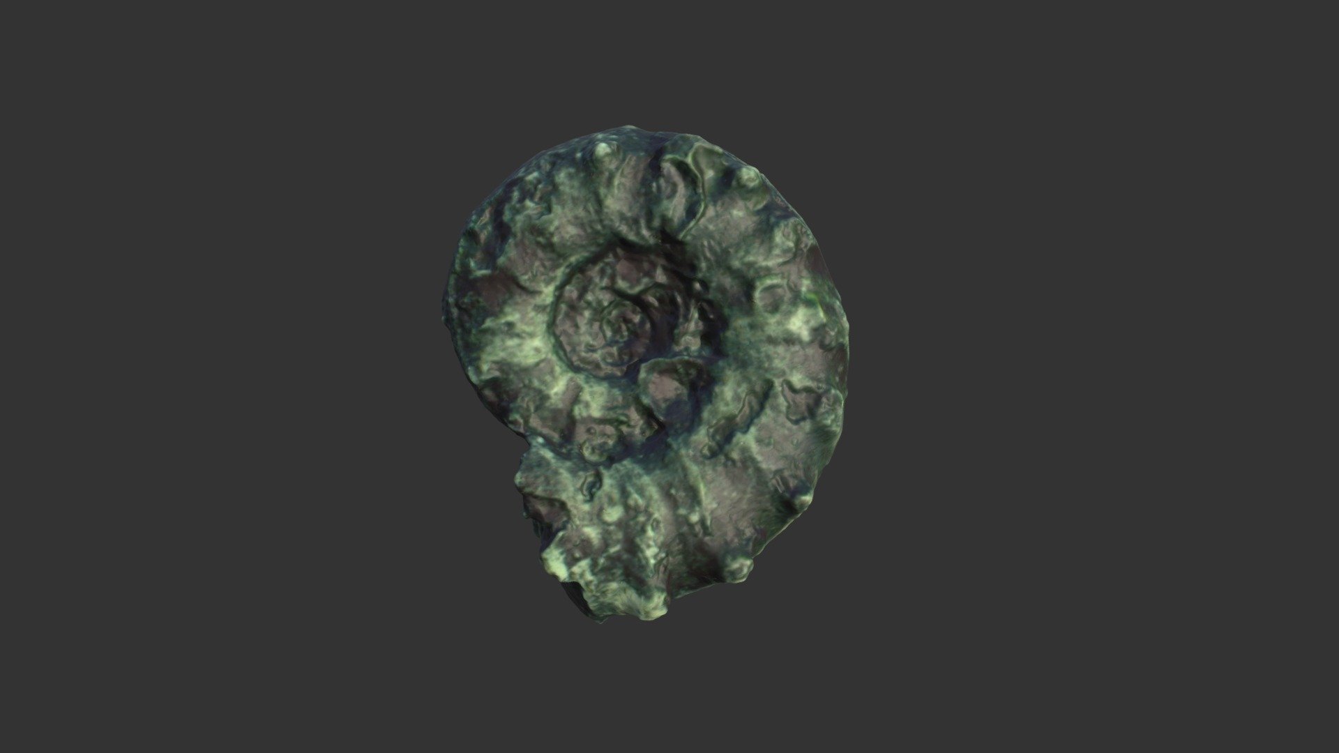 Aspidoceras - 3D model by svtlyceepasteur [f963868] - Sketchfab