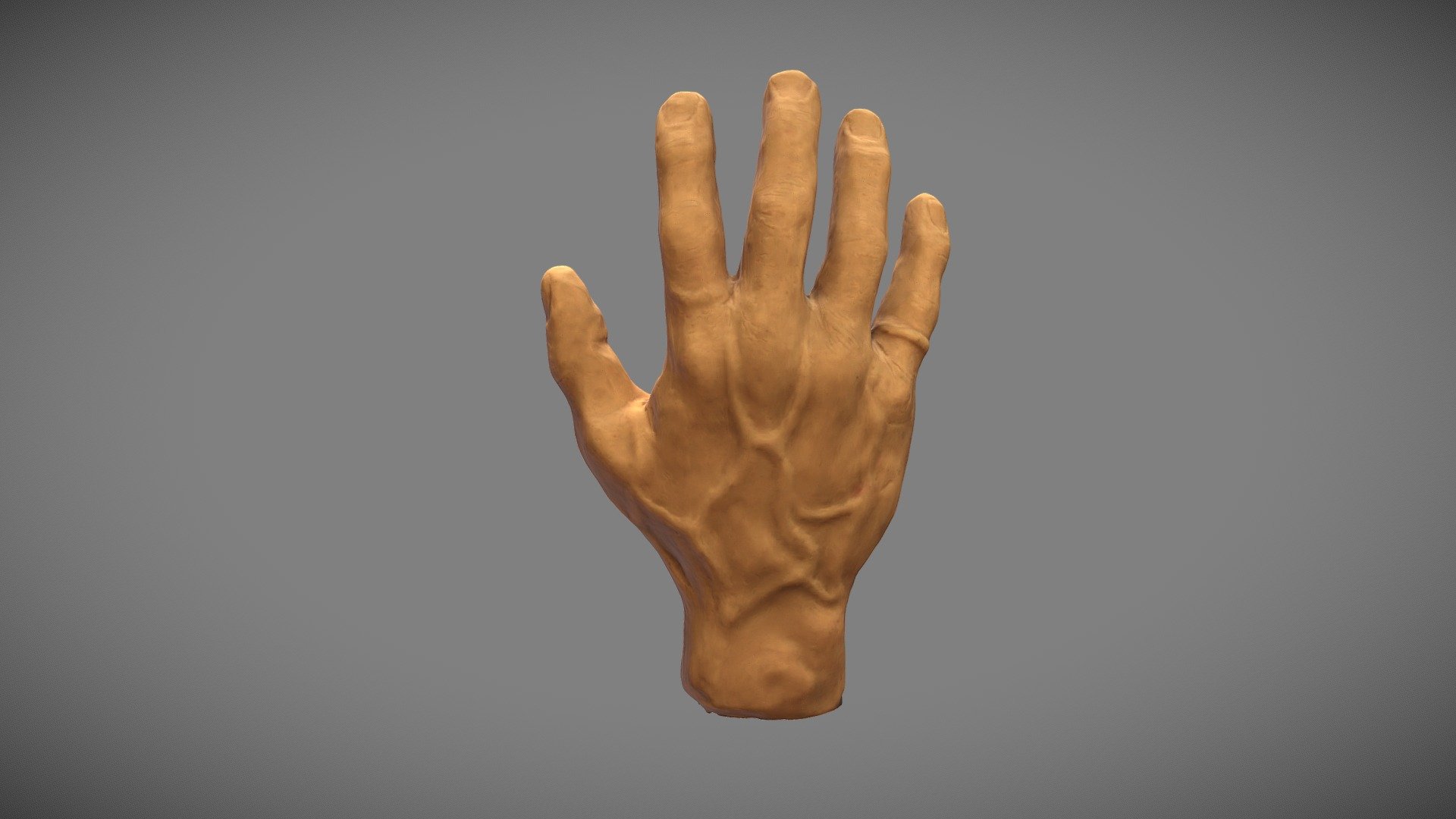 Hand Dorsal Vein Patterns: Unique and Useful - 3D model by celiamcc27 ...