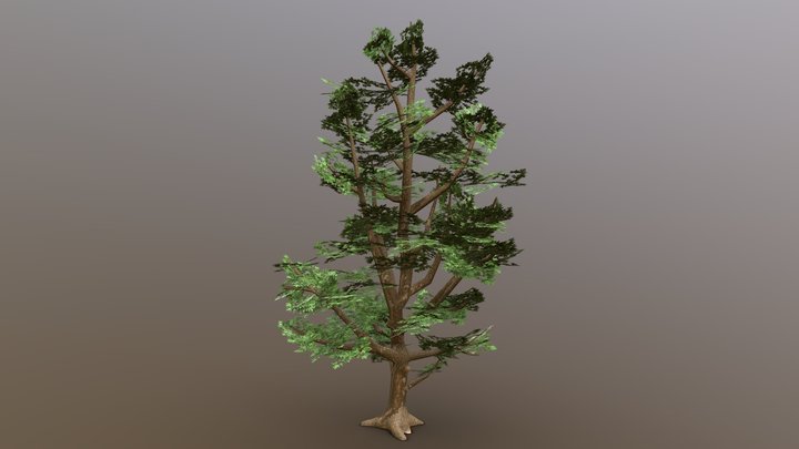 Maya-3d-model 3D models - Sketchfab
