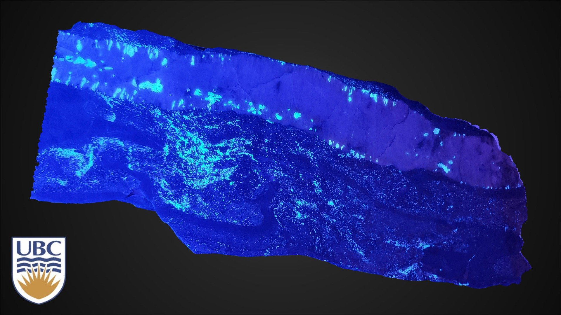 COP21A UV light (Cantung Skarn) - 3D model by Nichole Moerhuis (UBC ...