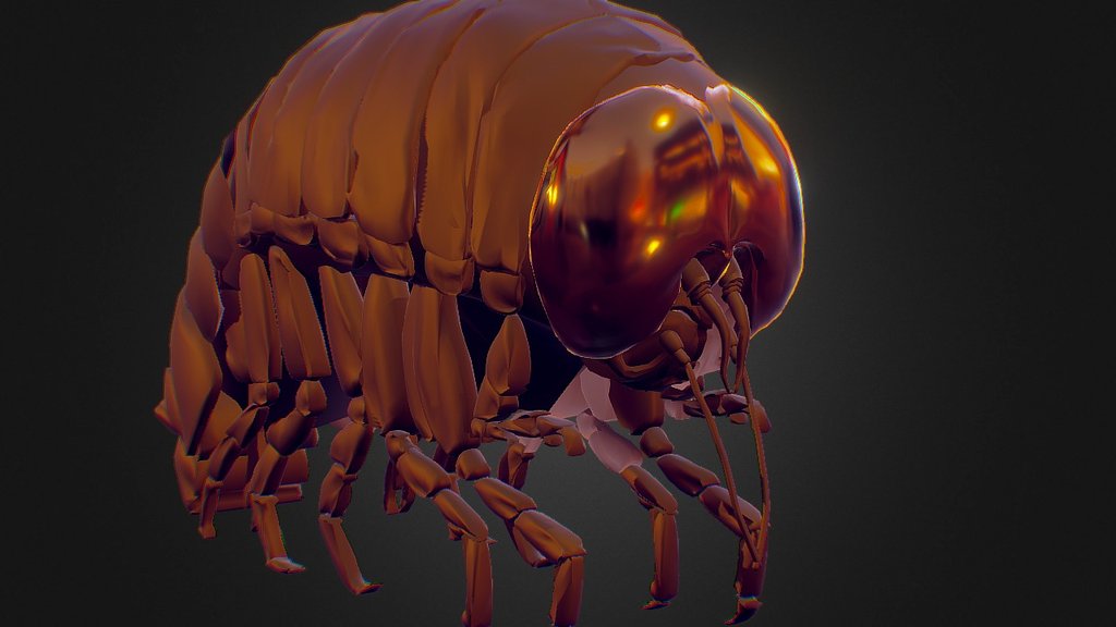 Insect Hyperia Galba Plancton - 3D model by Jevgeny Seiler (@ndrakey ...