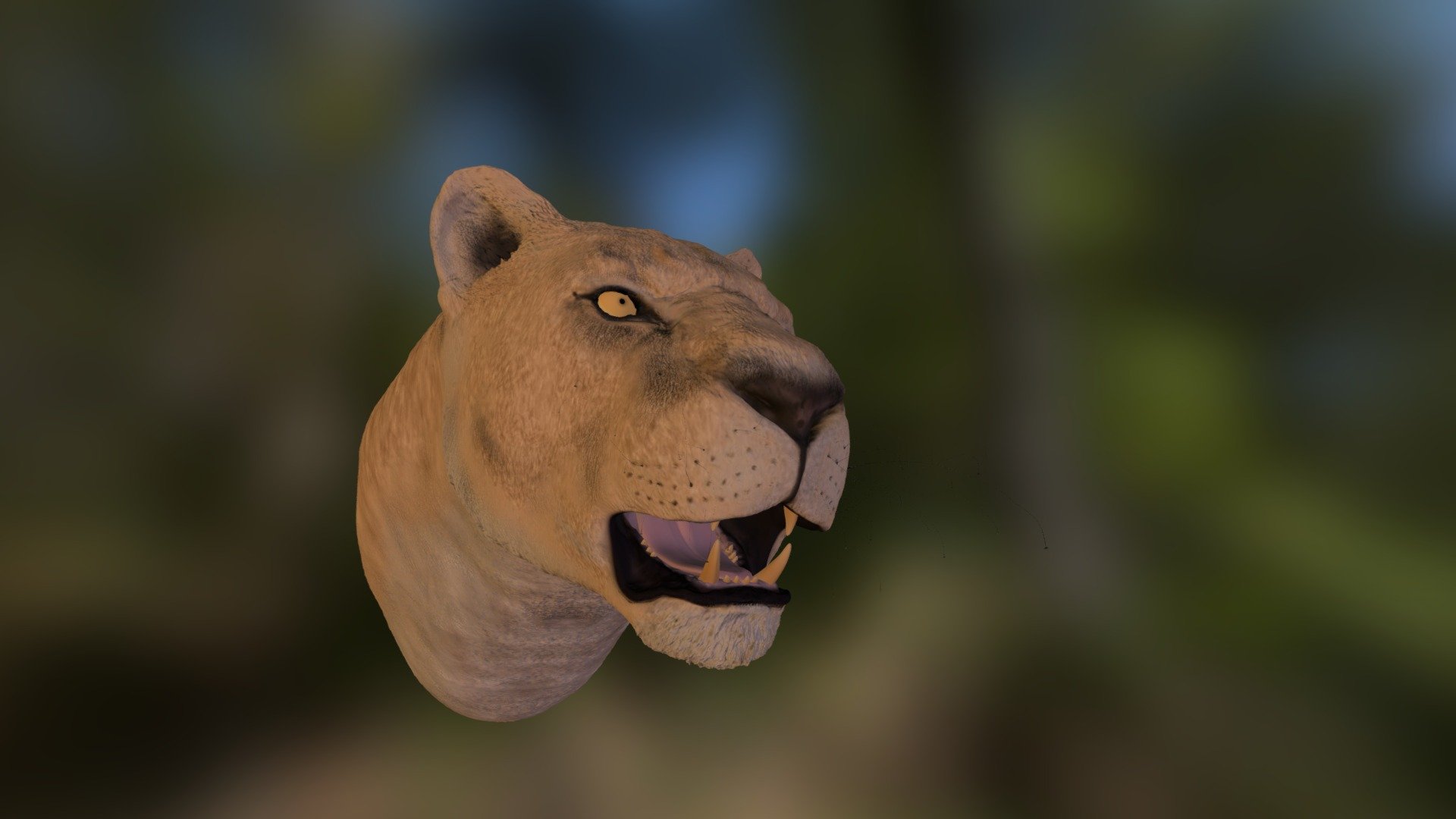 Lioness - 3D model by marcus.kirk [f985221] - Sketchfab