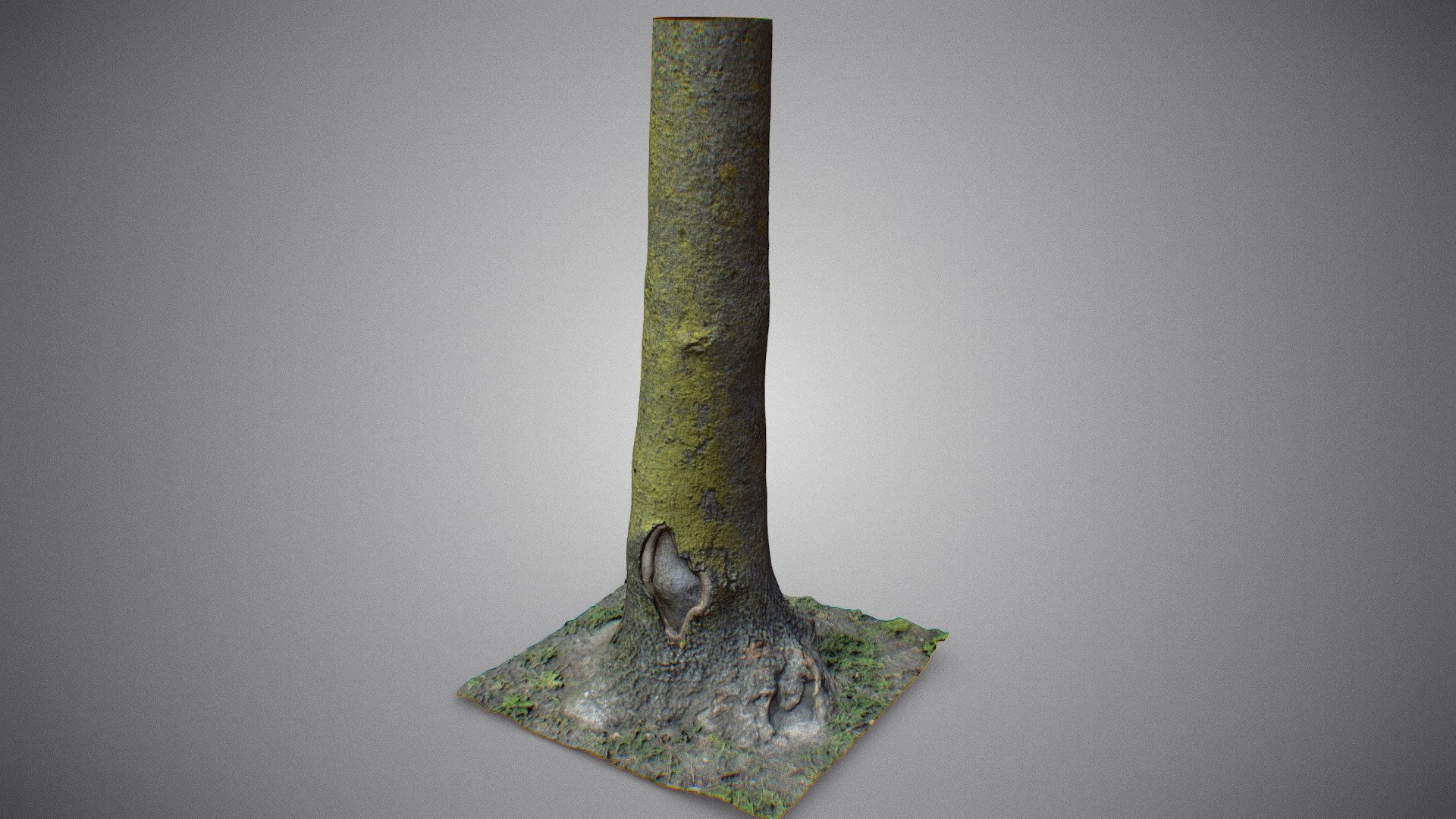 Tree Trunk 01 - Download Free 3D model by CrazyScans (@RandomScan ...