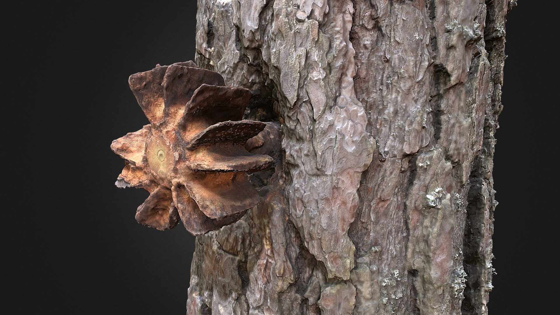 Artillery mine piece stuck in a tree - 3D model by Artyom Tarakanov ...