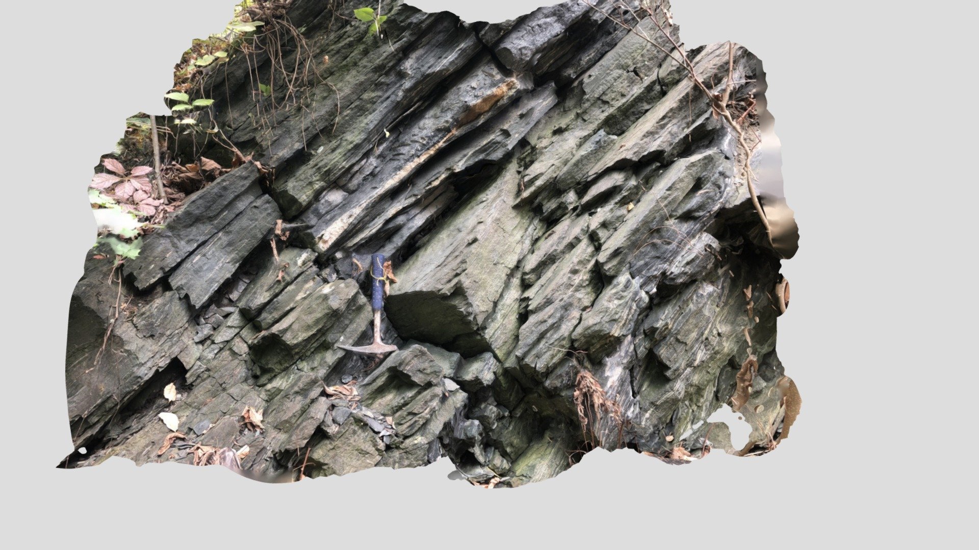 Fairchild Lower Oam Outcrop Old - 3D model by Dartmouth College Earth ...