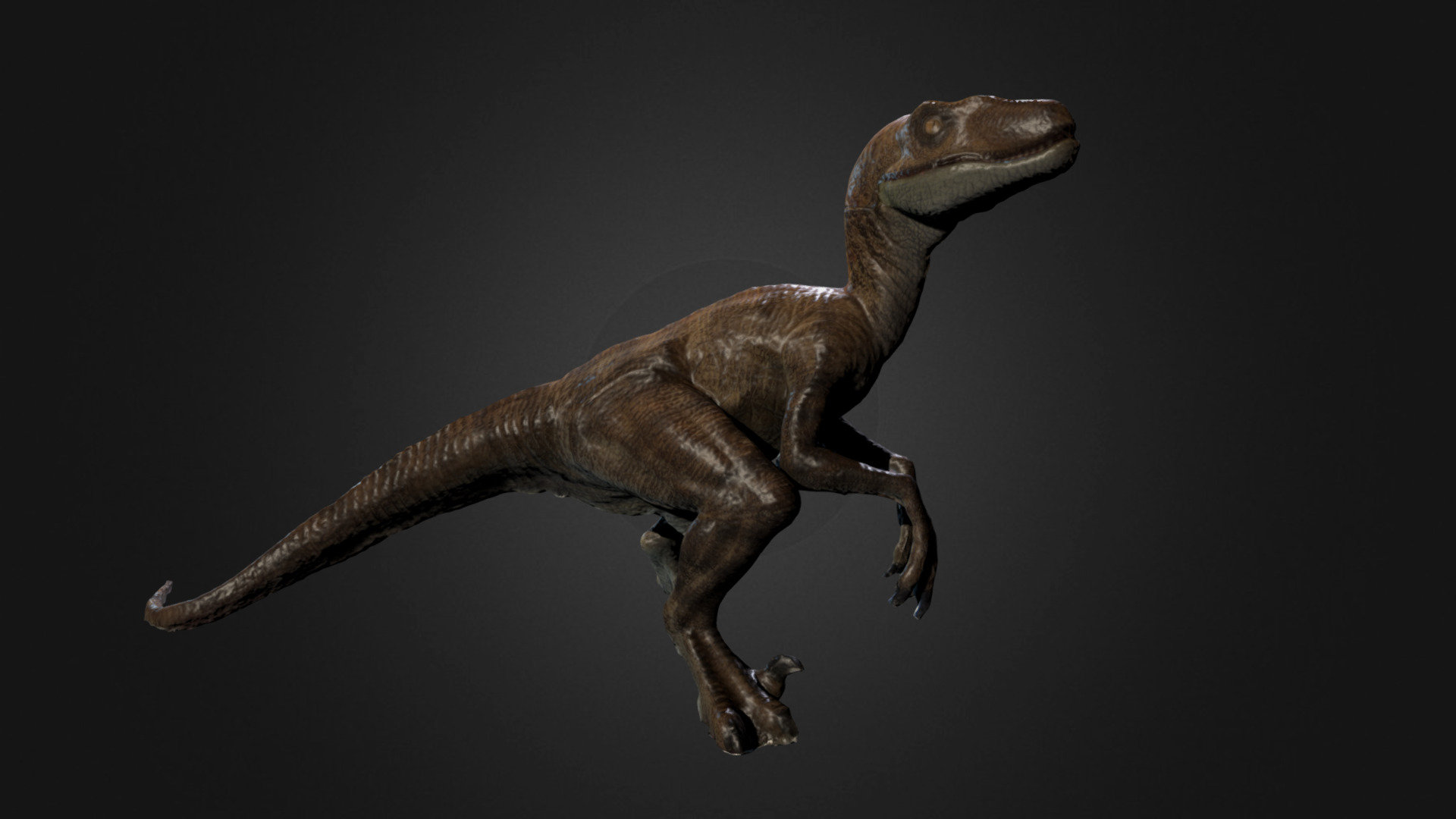 Raptor Photogrammetry test - Download Free 3D model by Nick G. Gizelis ...
