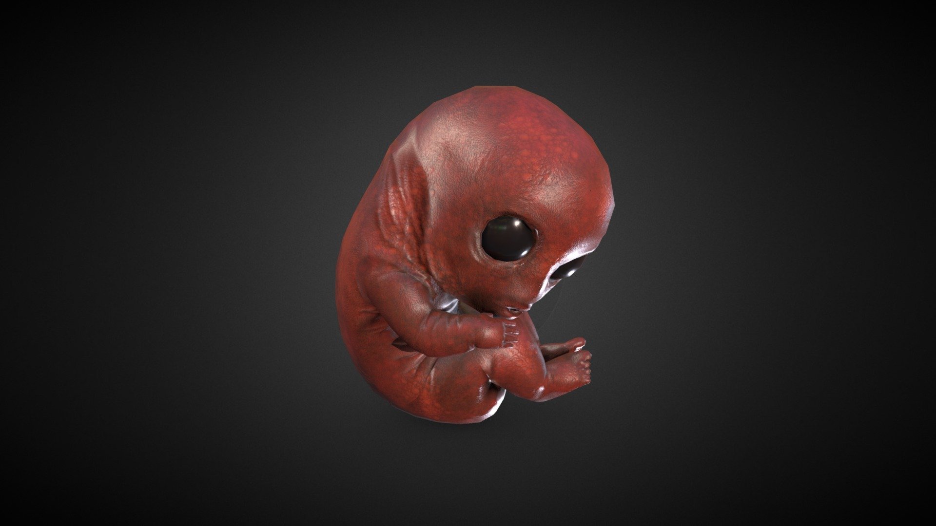 Humunculo - 3D model by Louis_p_616 (@Louis616) [f994d6d] - Sketchfab