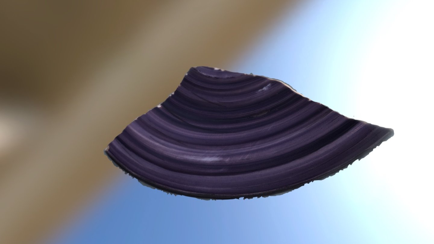 Plate Fragment - 3D model by archeowebby [f99f419] - Sketchfab