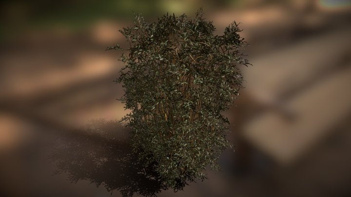 Hedge 3D models - Sketchfab