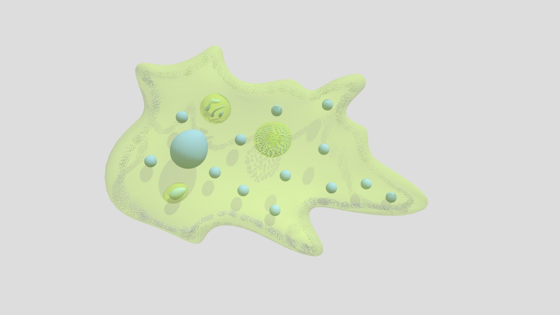 Structure-of-amoeba - 3D model by Dien [f9a5e0b] - Sketchfab