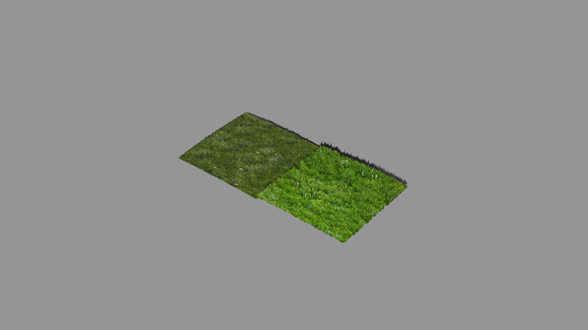 Realistic grass - 3D model by Ilariy357 [f9abad1] - Sketchfab