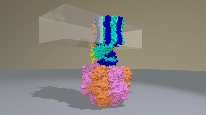 Atp-synthase-rotation 3D models - Sketchfab