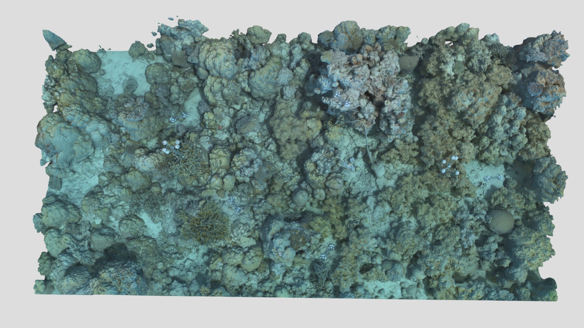 Masig_BA1S_P2_202302 - Download Free 3D model by EcoRRAP (@AIMSEcoRRAP ...