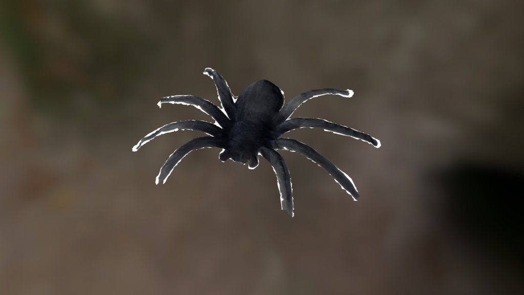 MINIATURE SPIDER - 3D model by l o u i s (@louis) [f9aed61] - Sketchfab