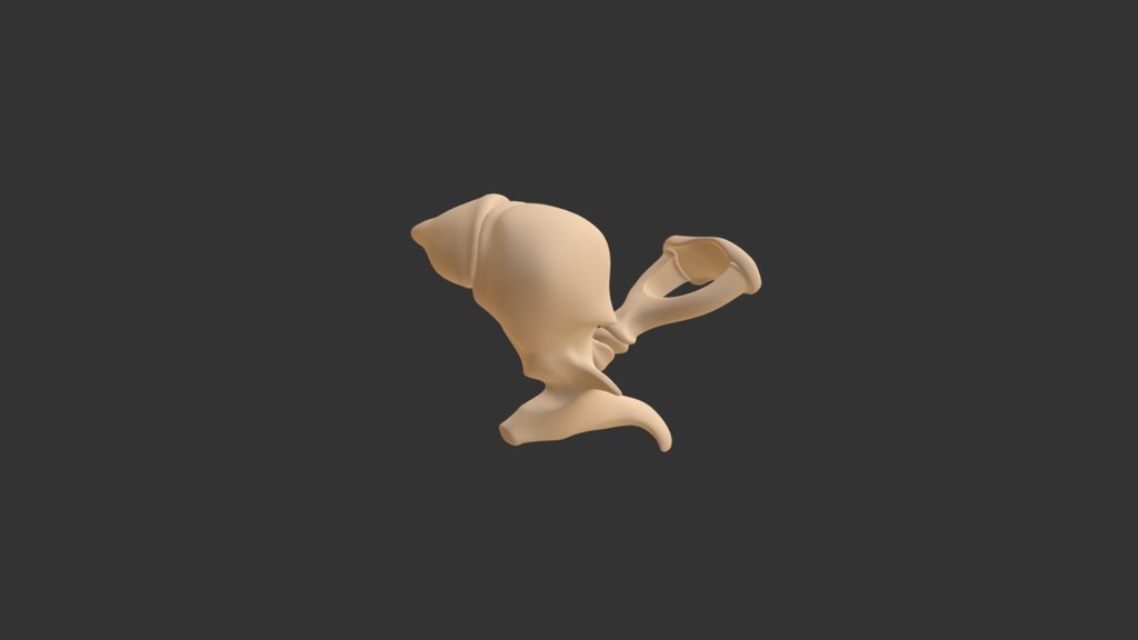 Osselets_V02_Modelisation - 3D model by Loup [f9b405f] - Sketchfab