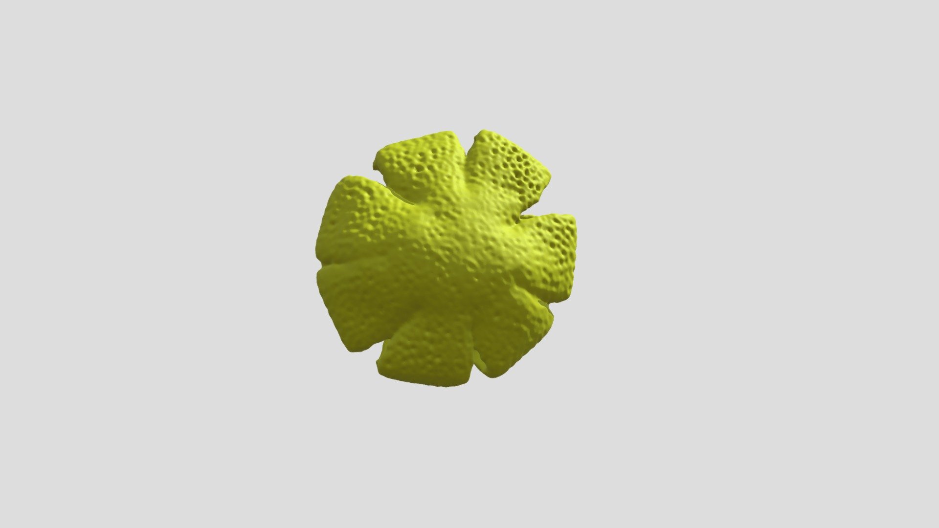 Primrose (Primula vulgaris) pollen grain - 3D model by Cardiff ...