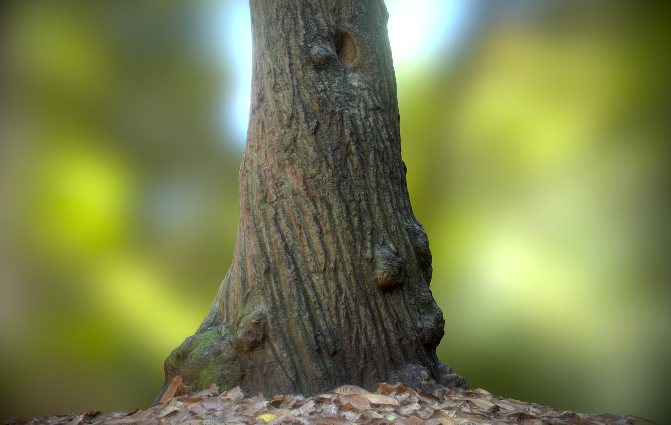 Tree Trunk Swirl - 3D model by Bex (@bexfx) [f9bb05d] - Sketchfab
