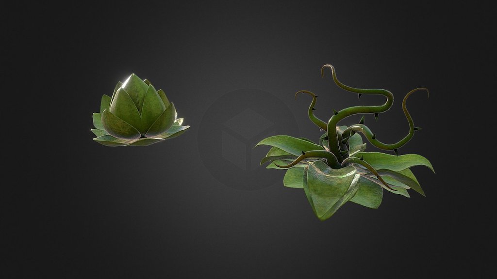 Roots - 3D model by extrawest [f9be831] - Sketchfab
