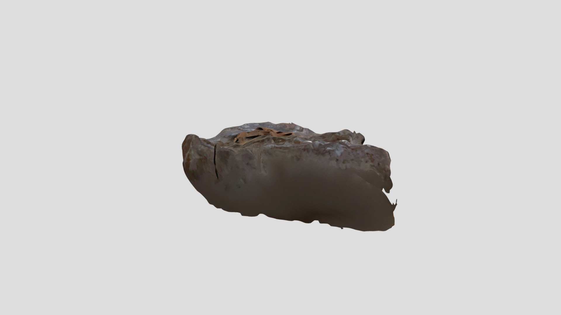 Left lung (costal surface) - 3D model by prajjawalit [f9c0784] - Sketchfab