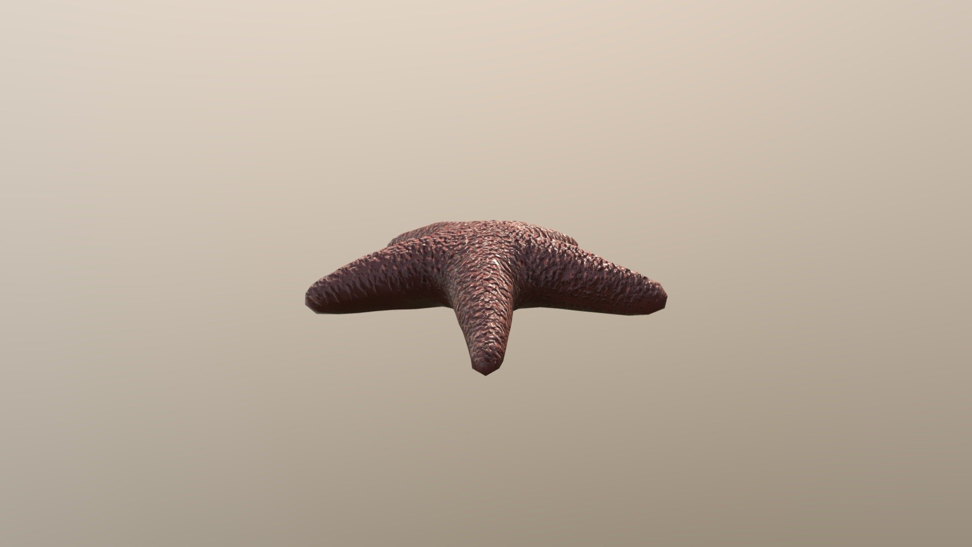 Starfish - 3D model by vciart [f9c8842] - Sketchfab